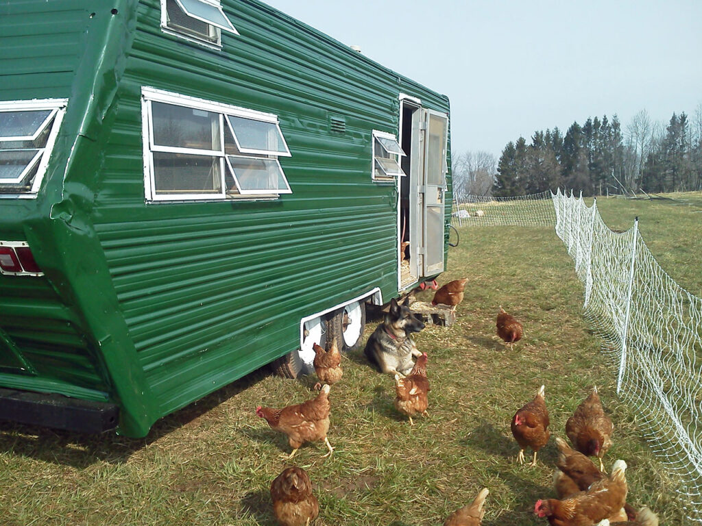 CHICKEN TRAILER - American Heritage Farms