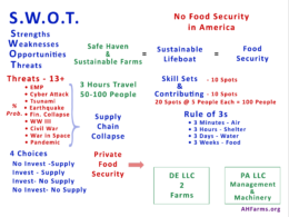 SWOT Analysis Flow Chart - American Heritage Farms